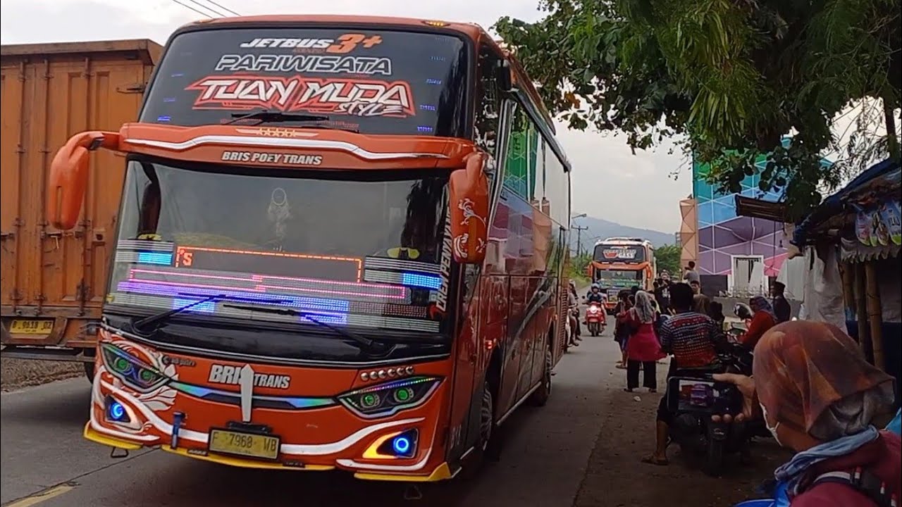 TUAN MUDA (BRIS trans) #VeGass(QQtrans)#Bus artis Pariwisata#anyer # ...
