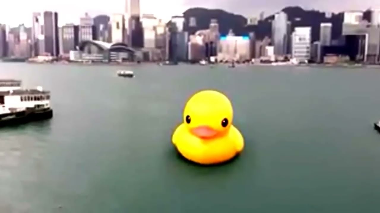 HK Rubber duck explosion - YouTube