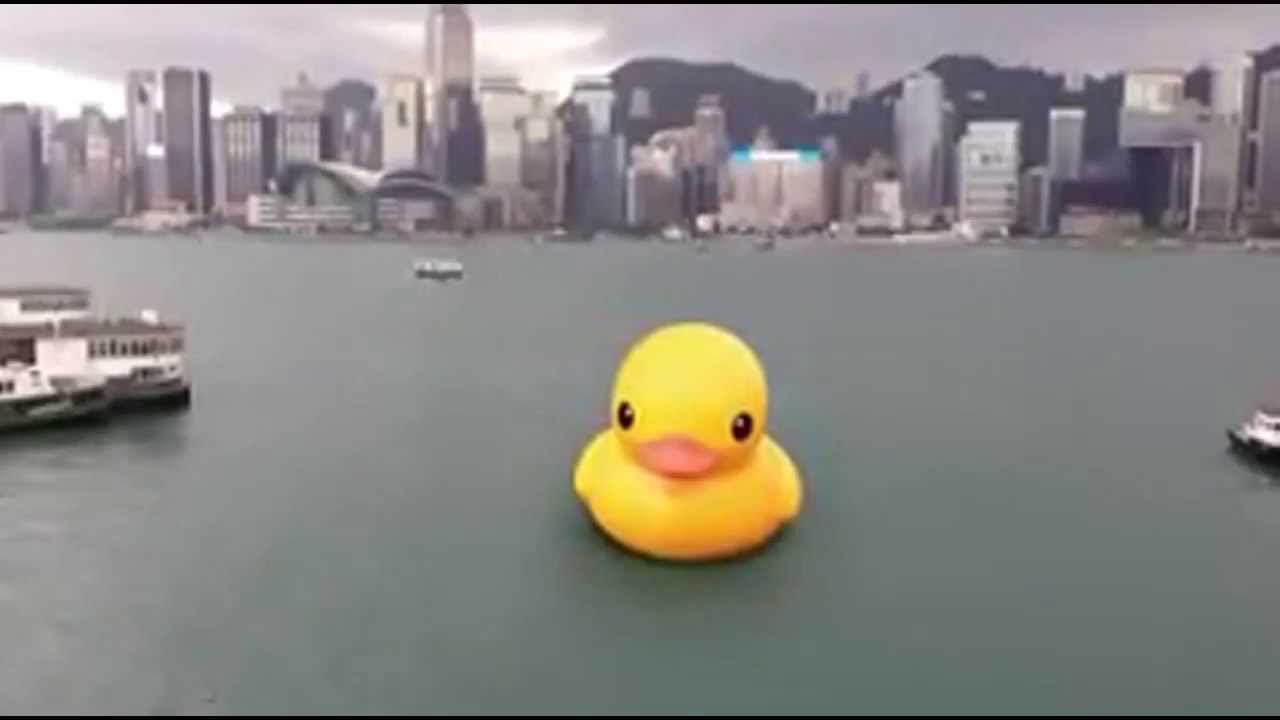 HK Rubber duck explosion - YouTube