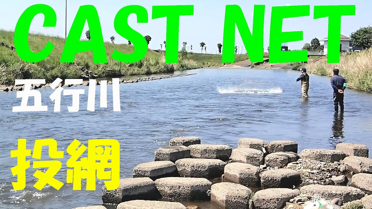 121_ 【How to Throw a Cast Net】How to Throw a Cast Net Gogyou River in ...