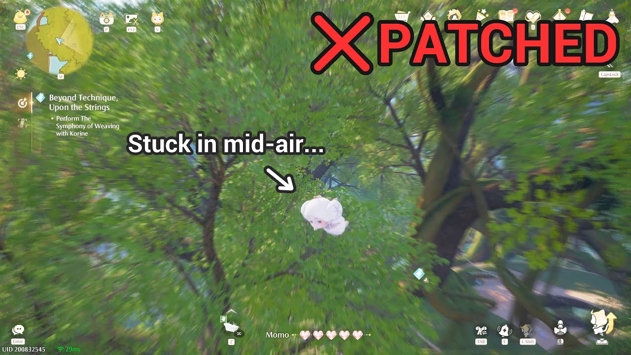 Infinity Nikki Glitch: Floating Momo (CAUTION: Flashing images) [FIXED ...