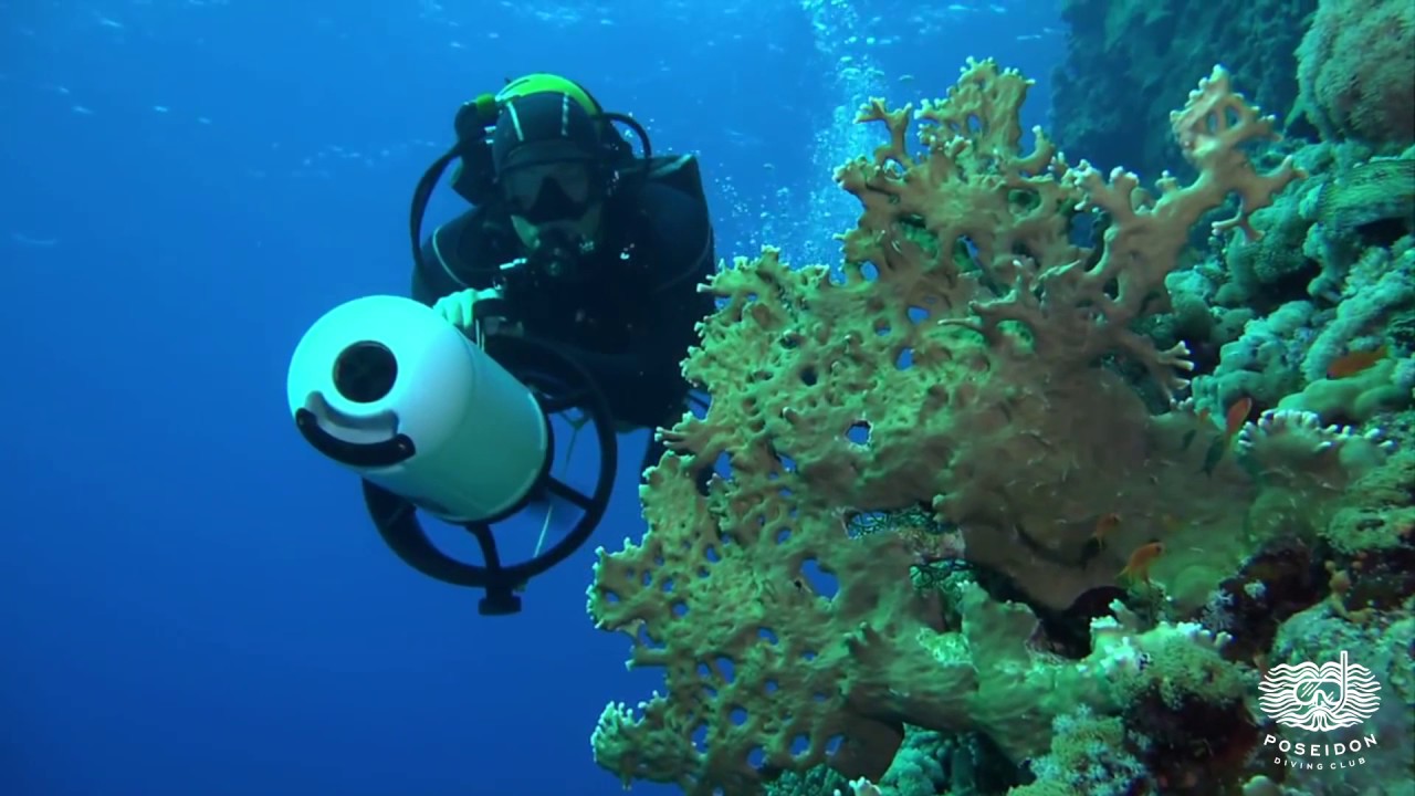 The best diving in Sudan - YouTube