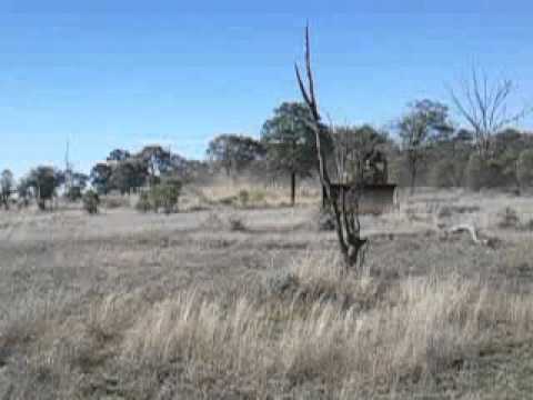 scrub pulling - YouTube