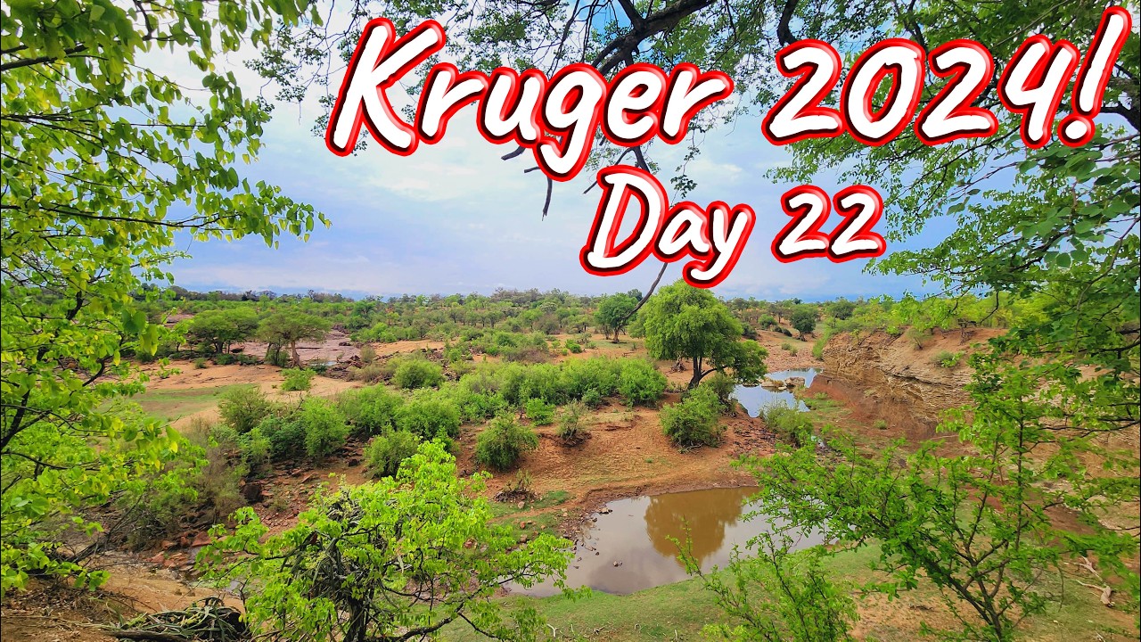 Day 22 – Kruger National Park! Ep 562 - YouTube