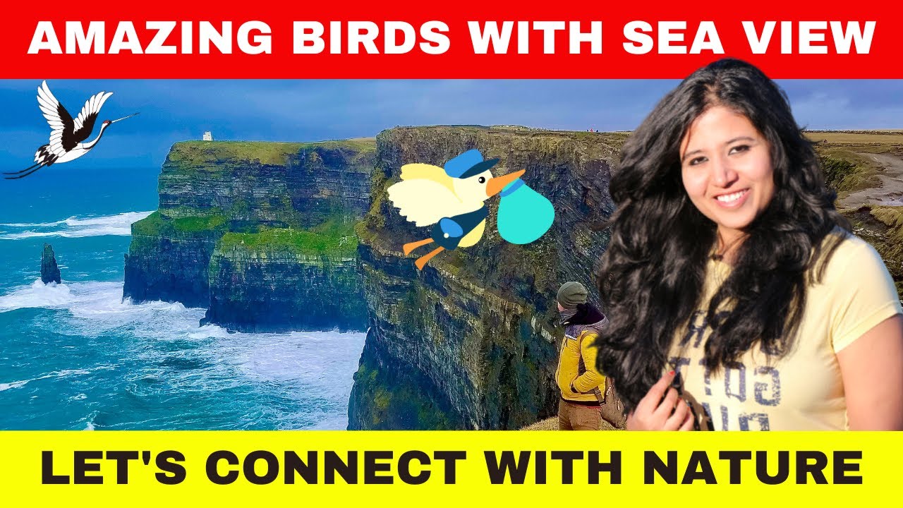 AMAZING SEA VIEW WITH BIRDS | Youtube Shorts | Indian UK Vlogs | Indian ...