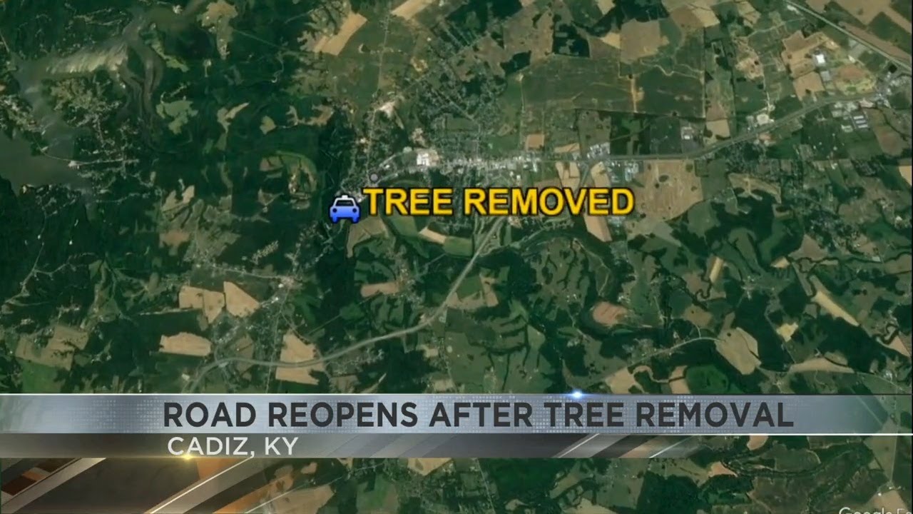 Road back open after tree removal - YouTube