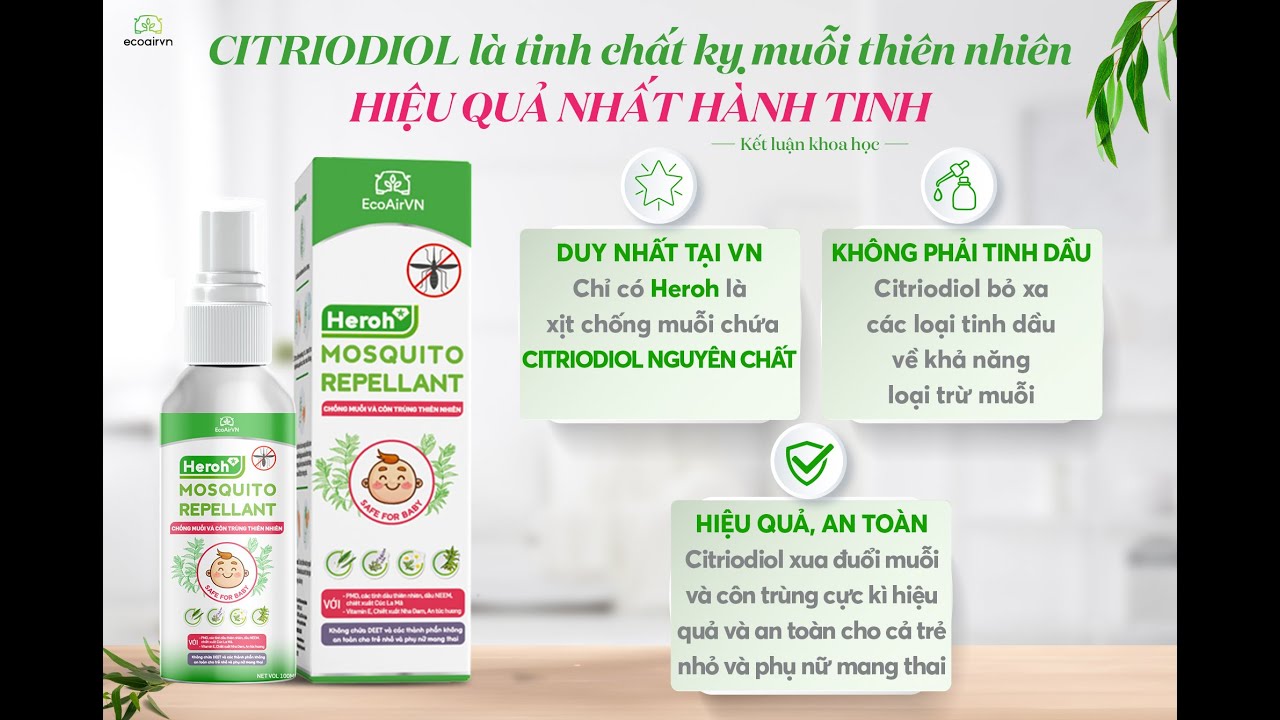 Xịt chống muỗi Heroh chống muỗi bằng Citriodiol I Ecoair Việt Nam - YouTube