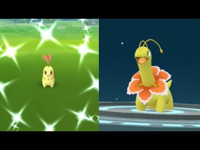 Pokemon Chikorita Evolution Chart