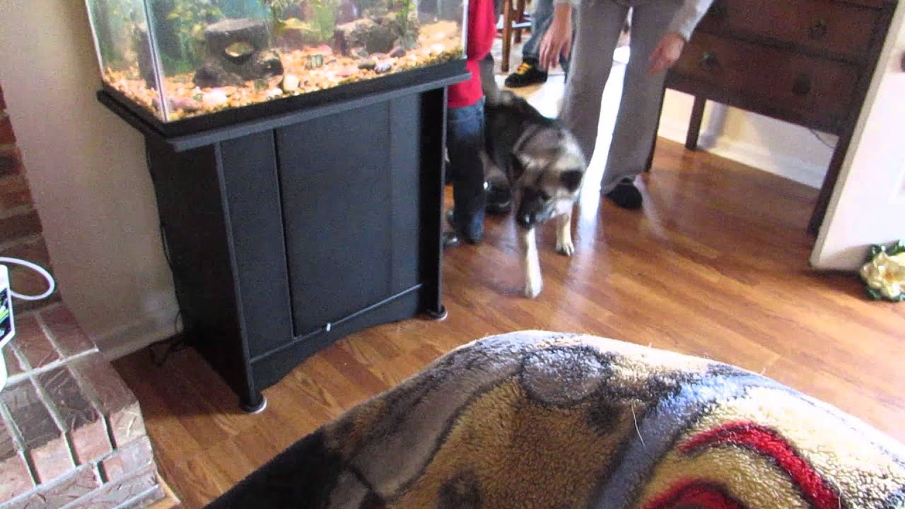 Big Daddy Monster :) - YouTube