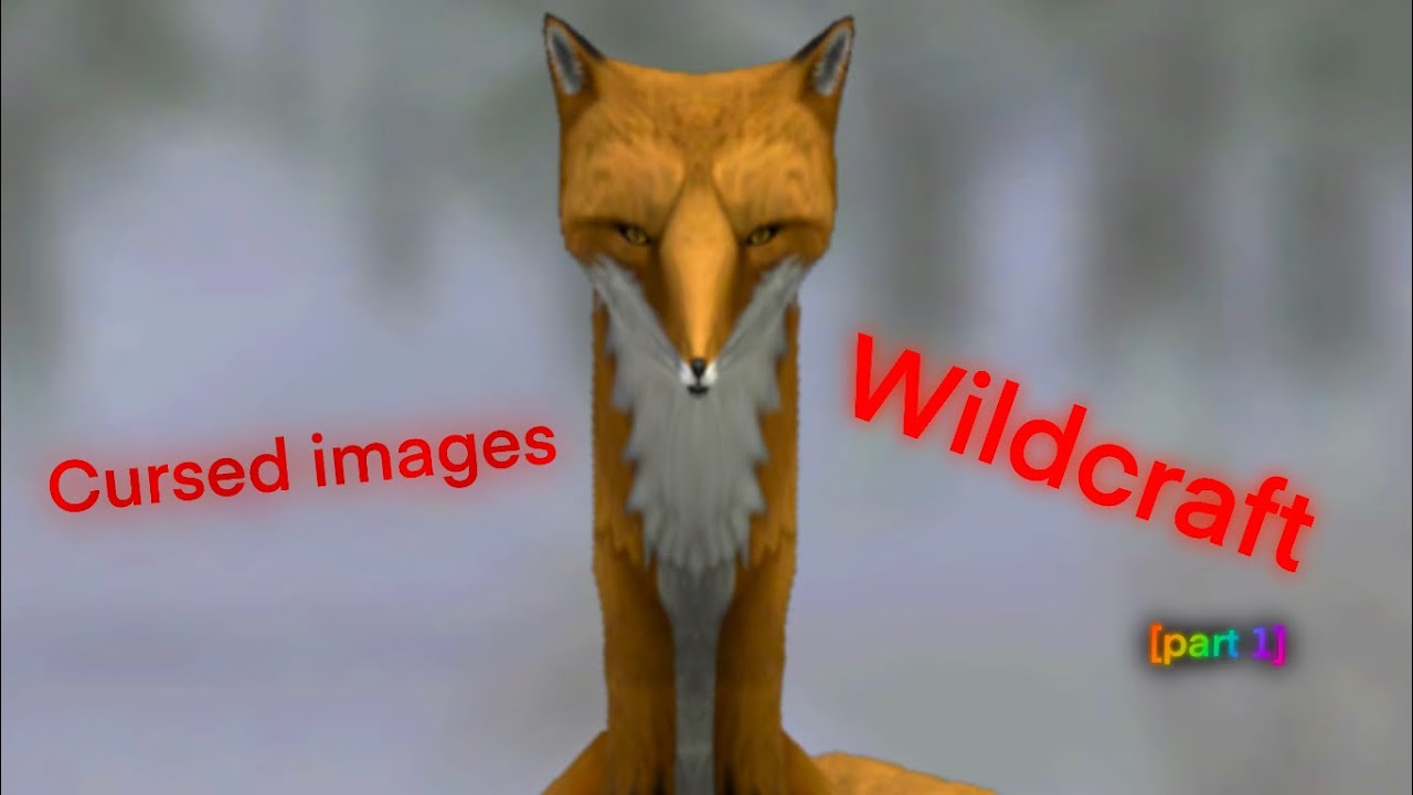 WILDCRAFT: CURSED IMAGES! [PART 1] - YouTube