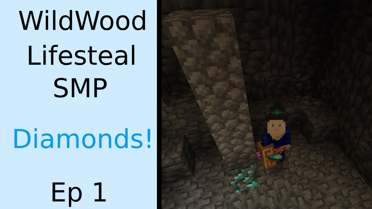 Minecraft WildWood Lifesteal SMP Ep1 ||| Diamonds! - YouTube