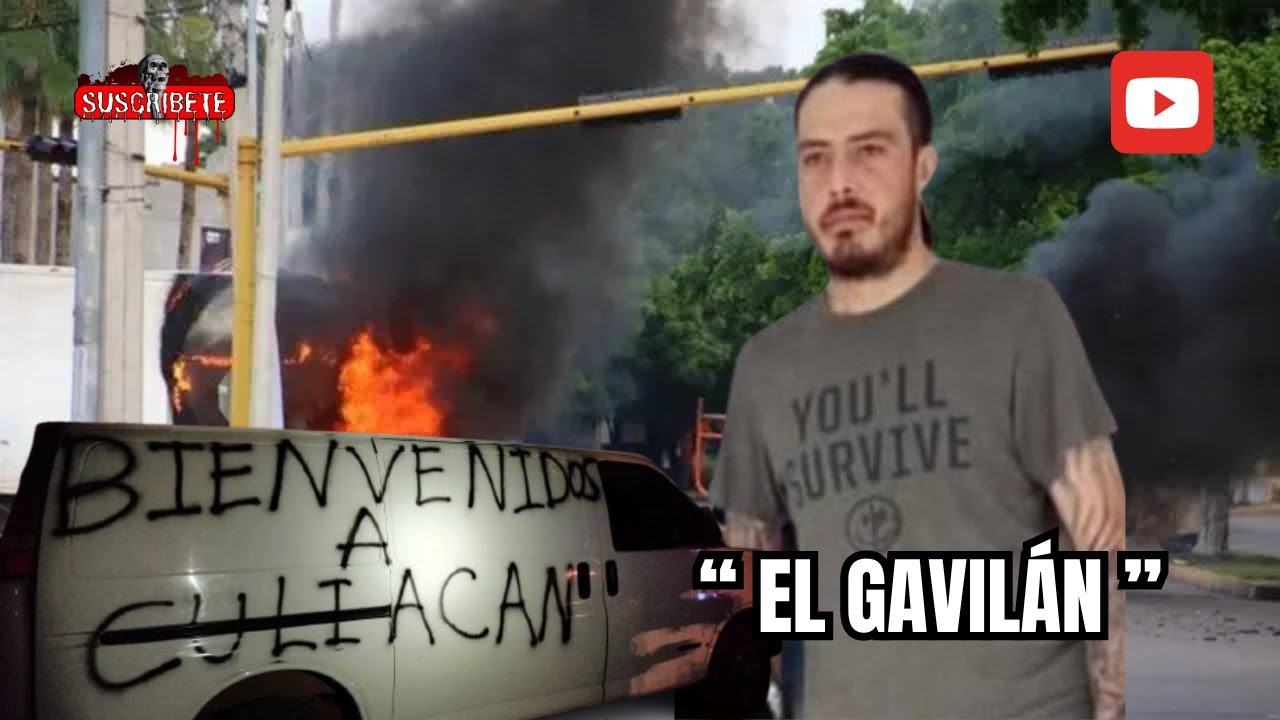 "Quién es realmente El Gavilán, la sombra protectora de Los Chapitos ...