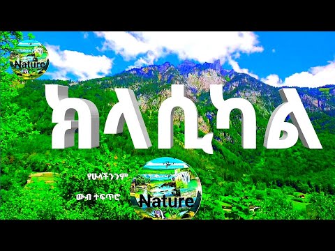 🟢🍀🌲🌳Best  Instrumental  music, ክላሲካል  2024🌲🌳