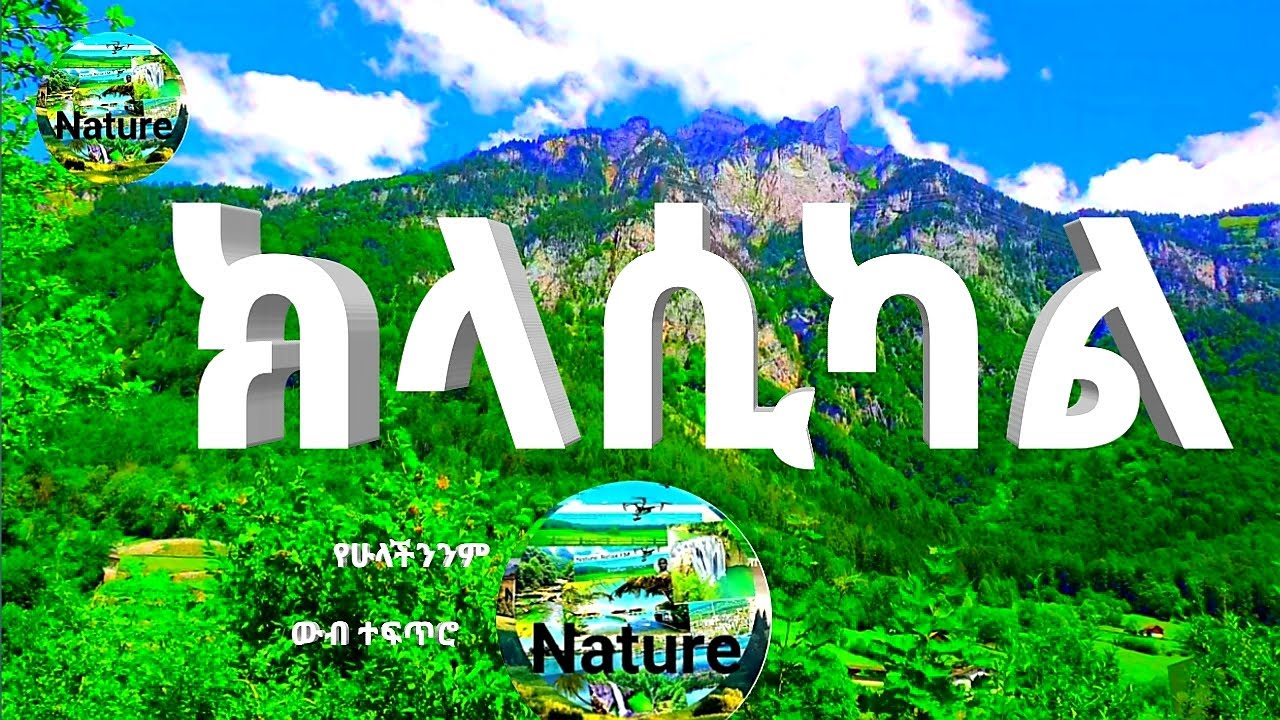 🟢🍀🌲🌳Best Instrumental music, ክላሲካል 2024🌲🌳 - YouTube