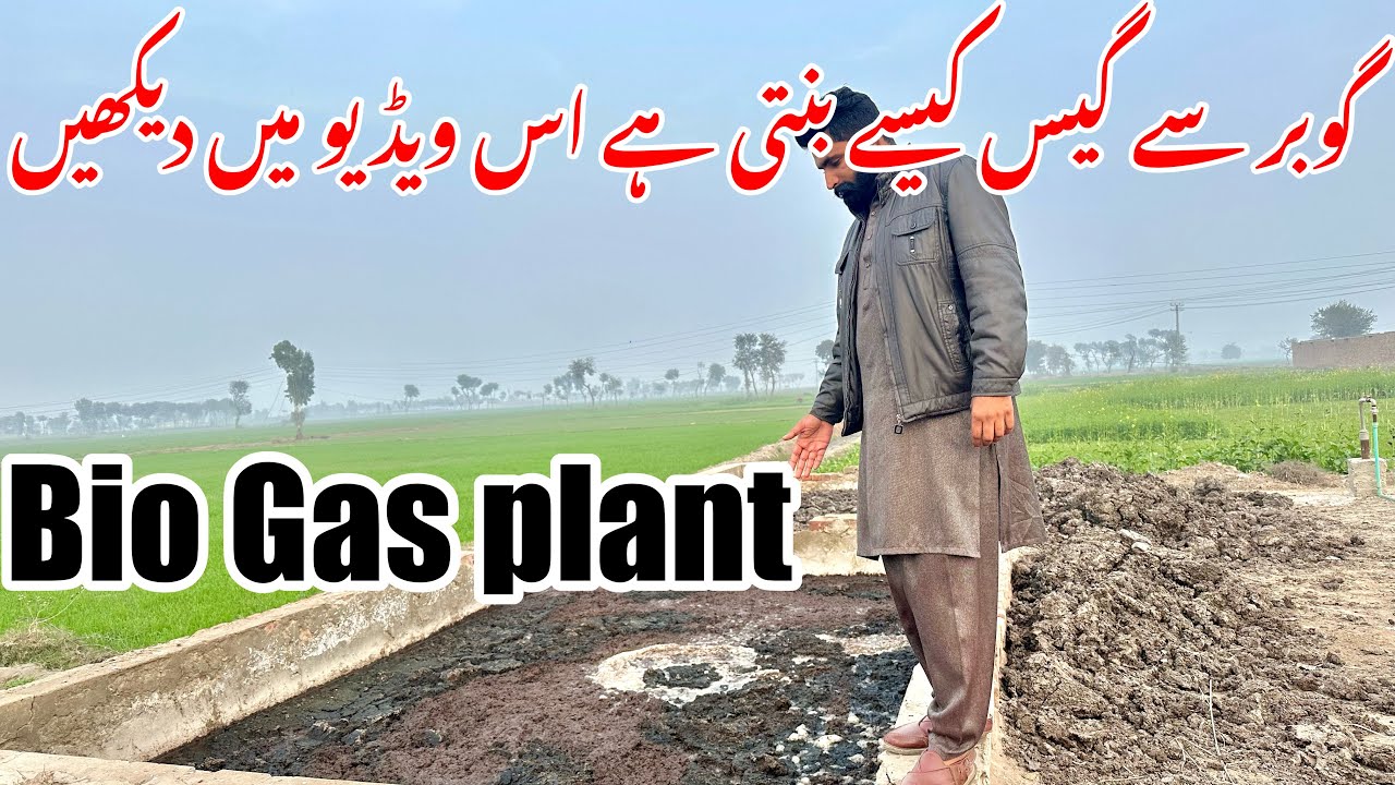 biogas | gobar gas plant |16-01-2024 - YouTube