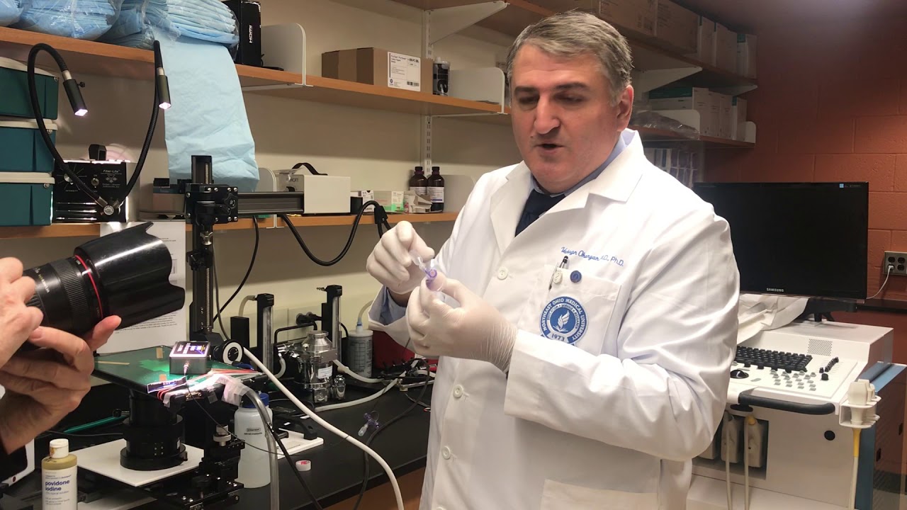 Dr. Ohanyan describes the Ohan Rodent Intubation System - YouTube