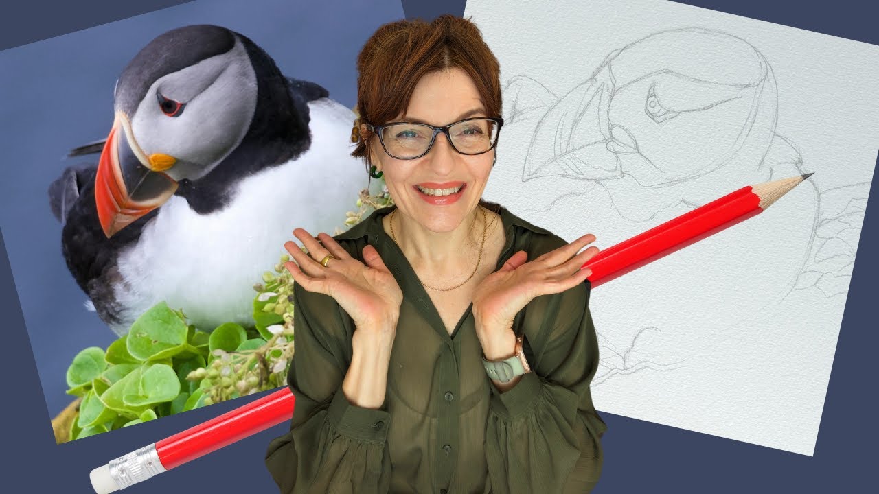 Draw a Cute Puffin! (Easy Bird Drawing Secrets) - YouTube
