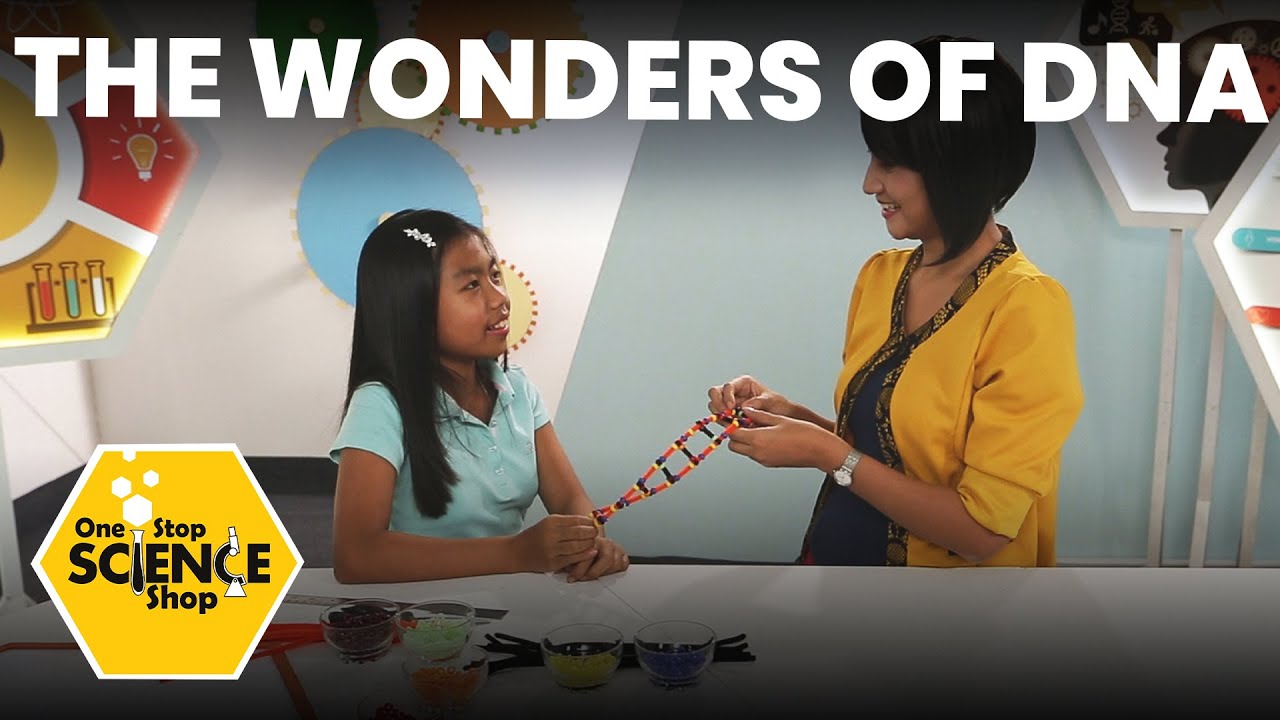 The Wonders of DNA | One Stop Science Shop (S1E1) | FULL EPISODE | Da ...
