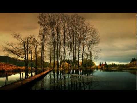 14) Aleksandr Sergeyeviç Puşkin - Bilinmeyen Ülke