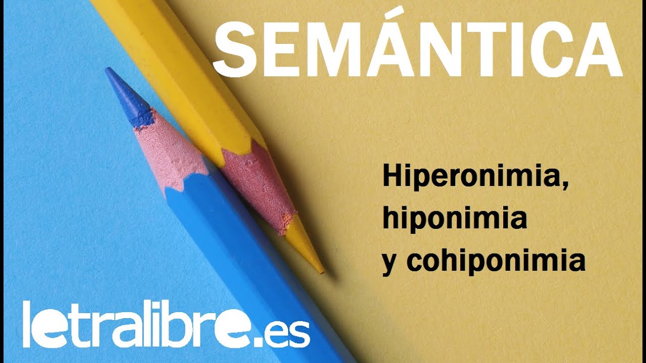 Hiperonimia, hiponimia y cohiponimia - Semántica Lengua Española - YouTube