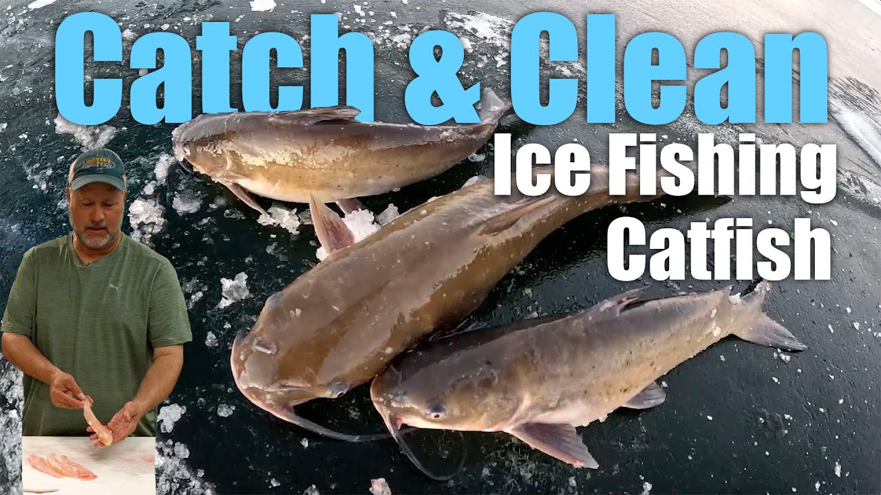 Cook And Clean Catfish (Ice Fishing)! - YouTube