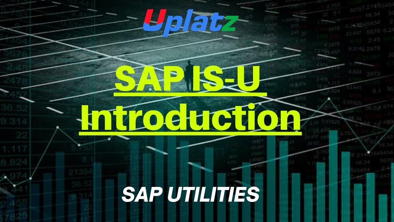 SAP IS-U Introduction | SAP Utilities module for Electric, Natural Gas ...