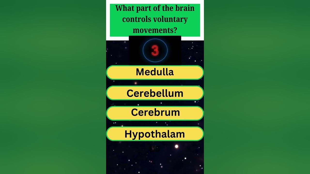 which Part of the Brain Controls Voluntary Movement? #biologymcqs #quiz ...