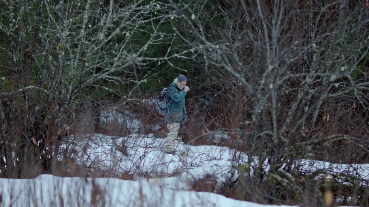 Cold zone (2017), from : https://youtu.be/T1axKZJ3eA0 - YouTube