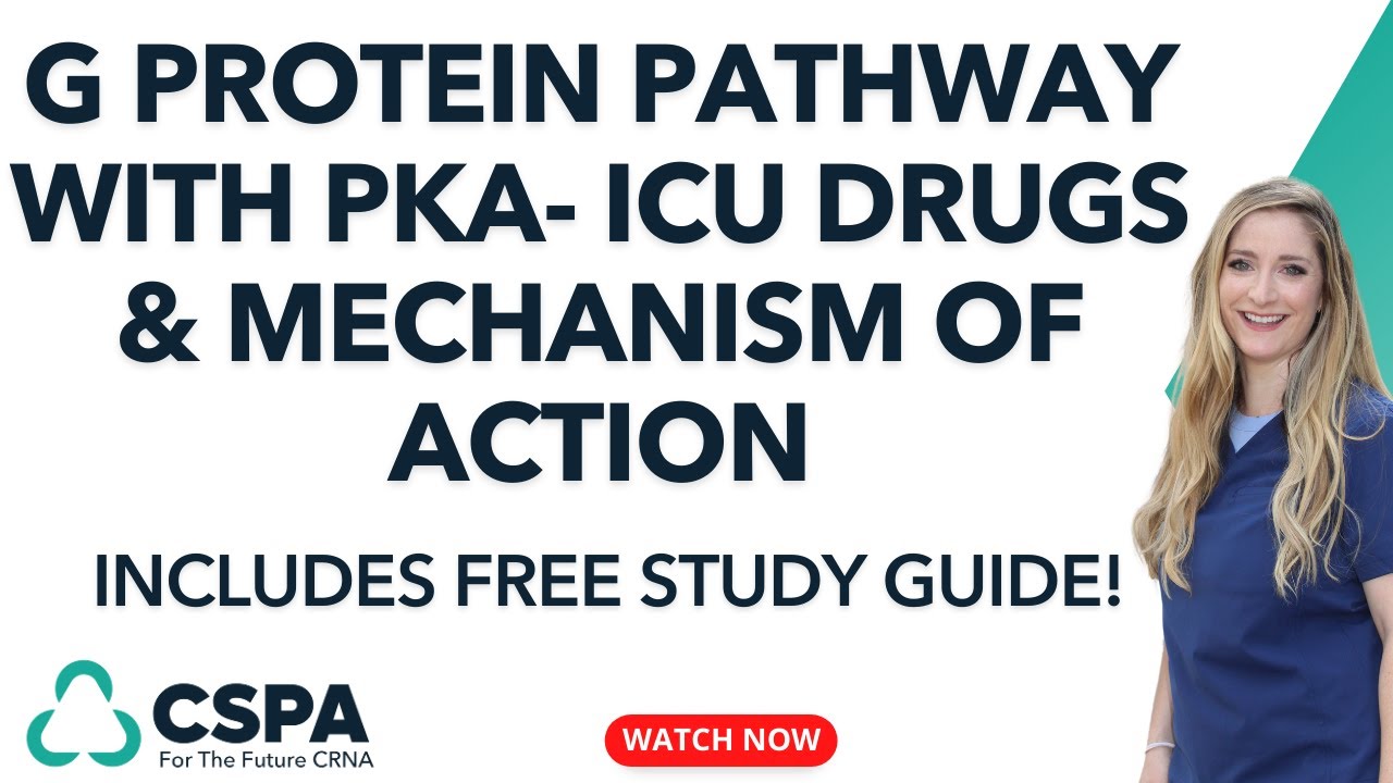 G Protein Pathway With PKA- ICU Drugs & Mechanism Of Action. Includes ...