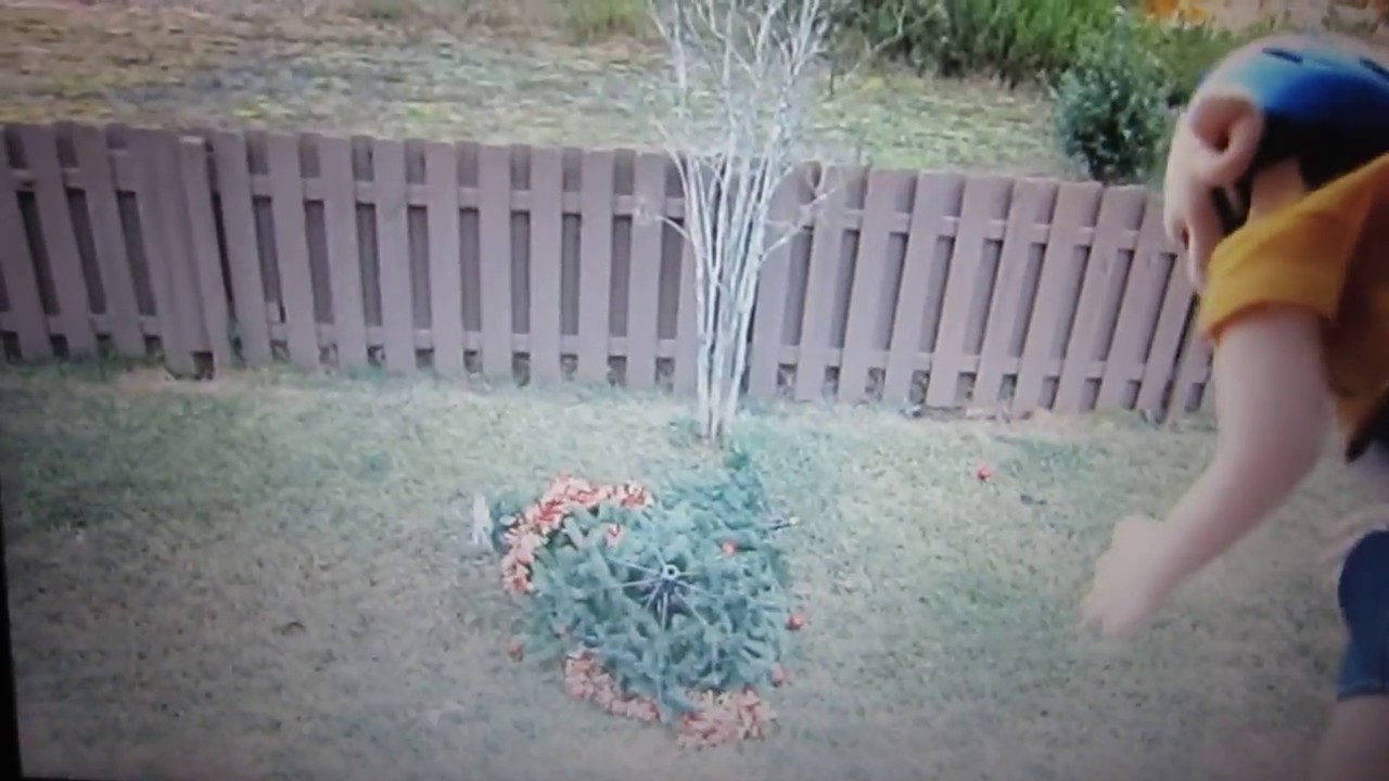 jeffy destroys a christmas tree - YouTube