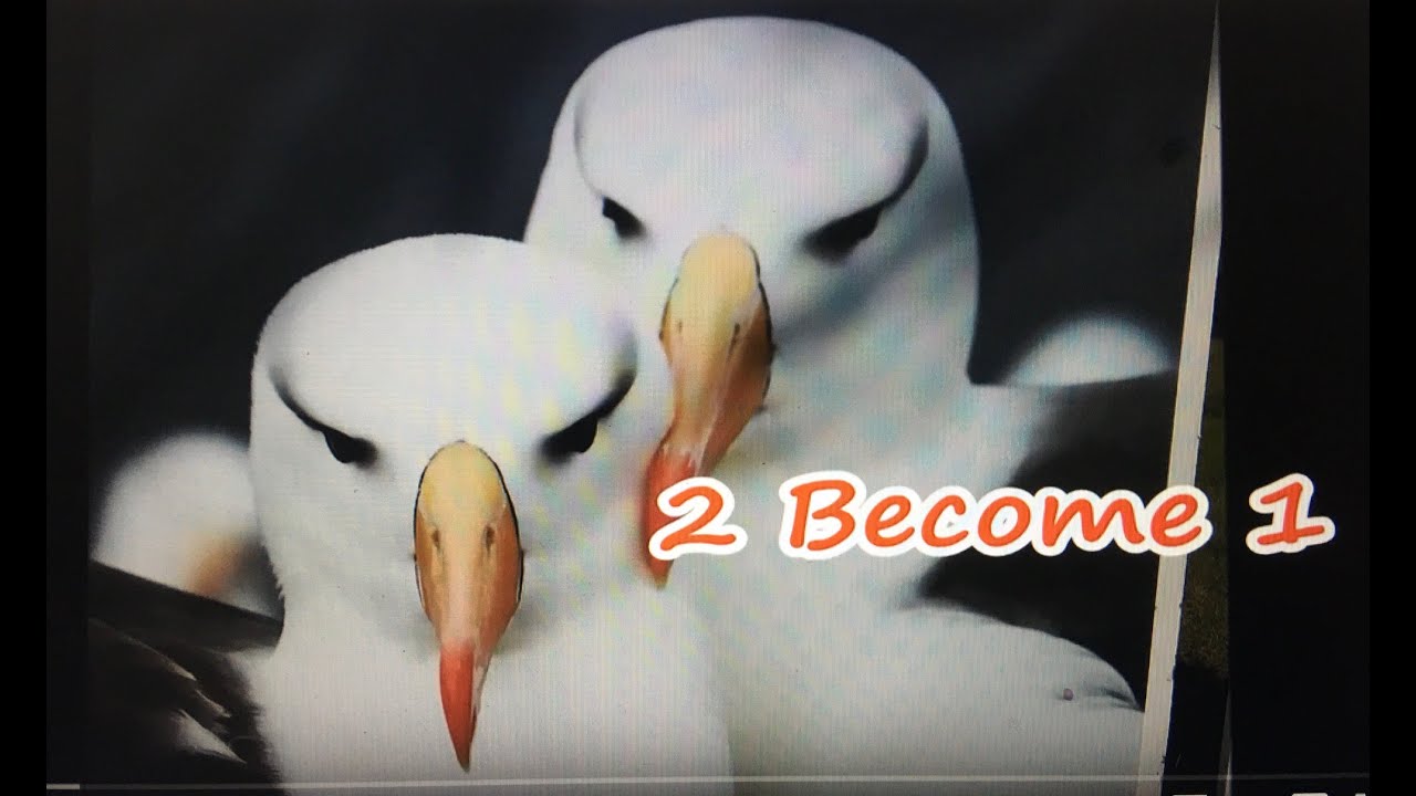 2 Become 1 line Dance - YouTube