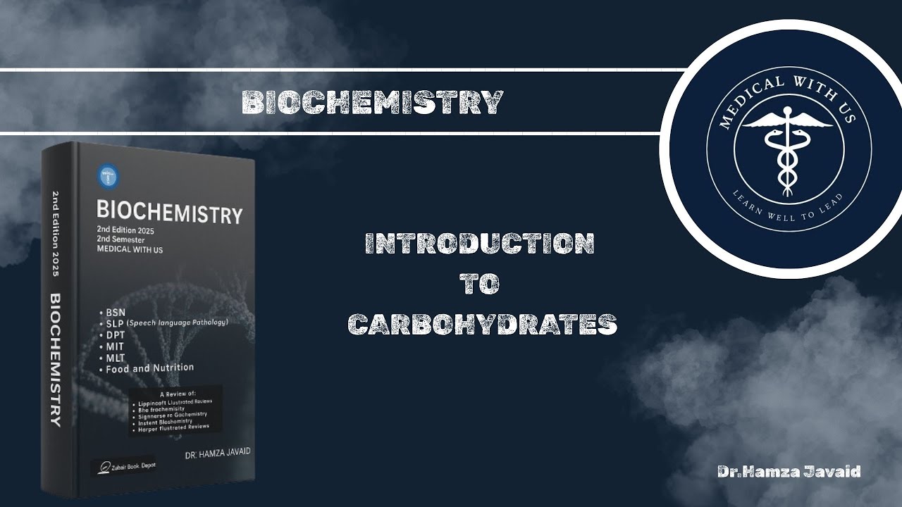 Introduction to Carbohydrates | Classification, Structure & Functions ...