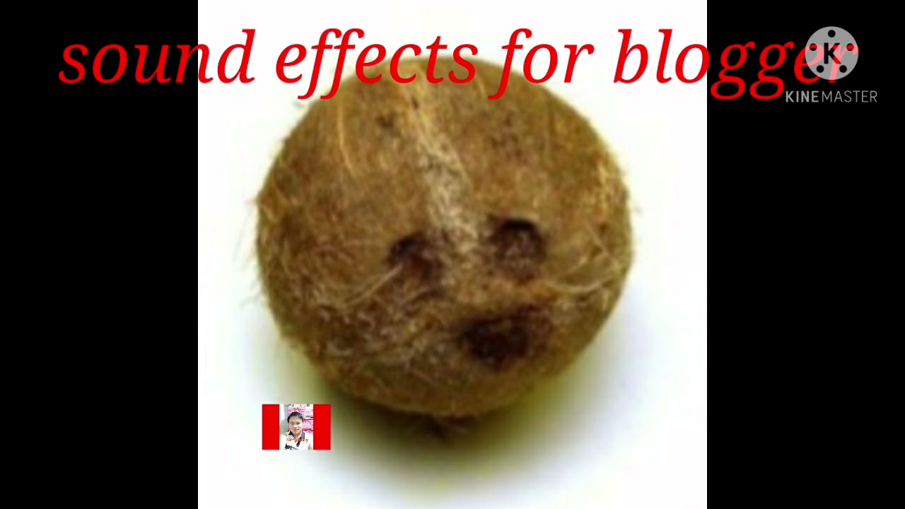 Bonk coconut sound effects for blogger - YouTube