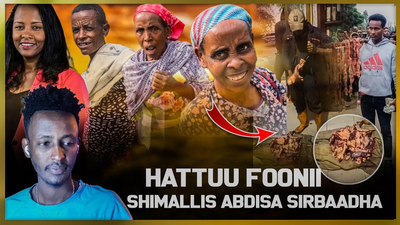 Bilisummaa Dinquu - Biliqa - Hattuu Foonii - Shimallis Abdiisaa ...