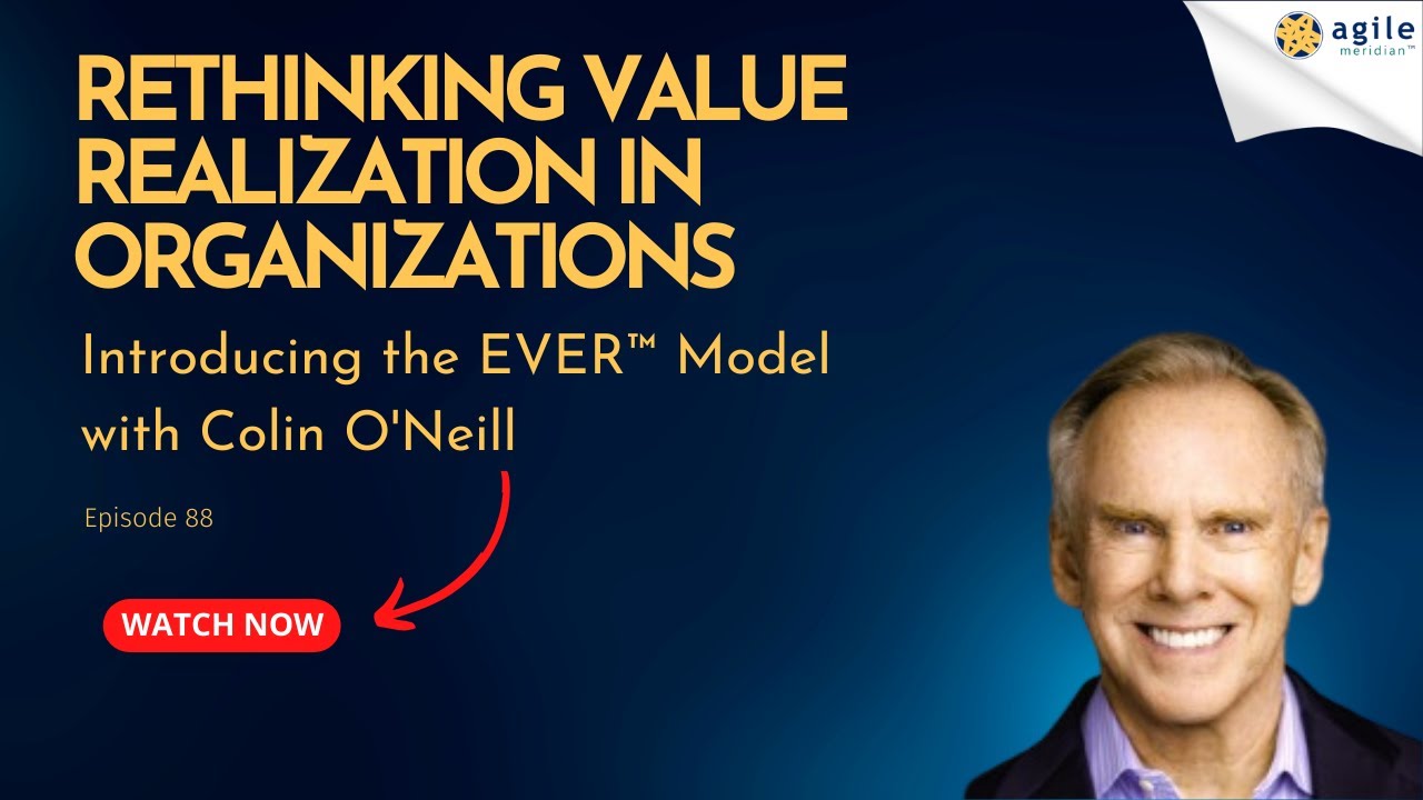 Rethinking Value Realization in Organizations - Introducing the EVER ...