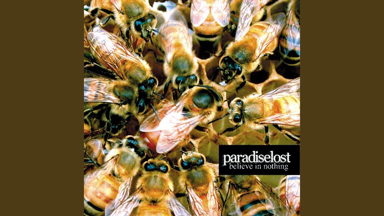 No Reason - YouTube Music