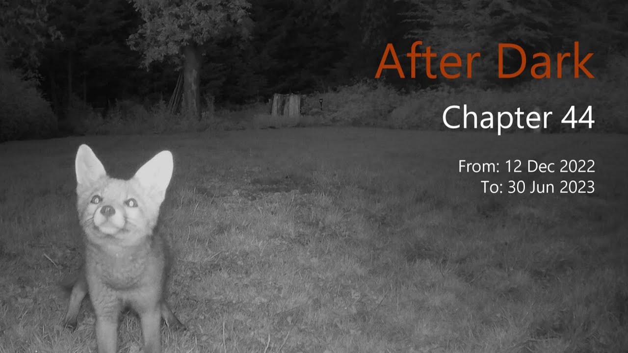 After Dark Chapter 44 YouTube after-dark-chapter-44-youtube