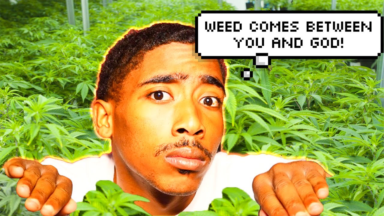 How's Weed Bad: Attack on Intellect - YouTube