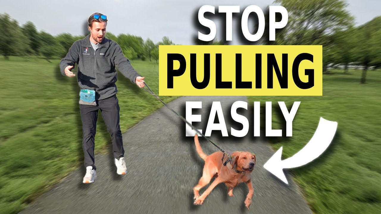 EASY Guide to STOP PULLING - YouTube