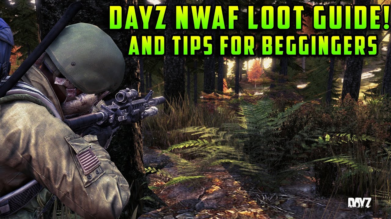 Dayz NWAF Loot Run & Tips For Noobs! - YouTube