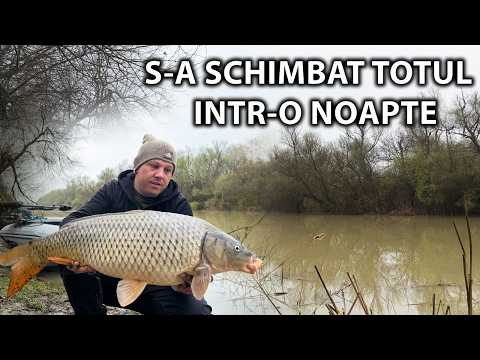 PRIMAVARA IN DELTA DUNARII PE BRATUL TATARU!