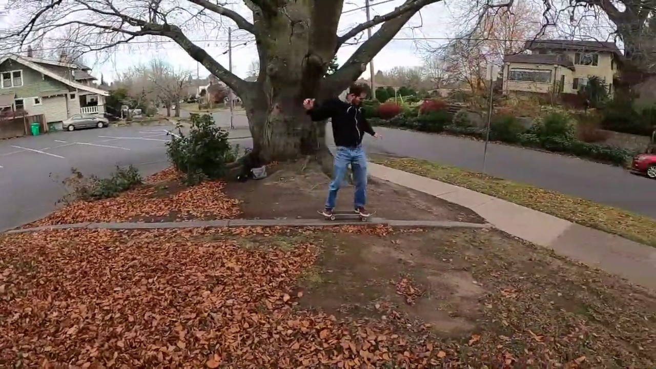 50-50 Around the Tree Curb - YouTube