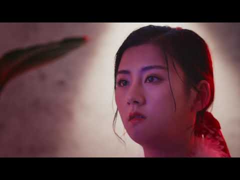 Spot | Budweiser | Unleash Your Party Animal | Disco Wolf