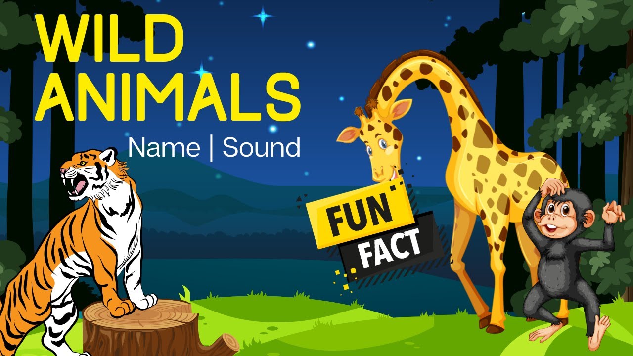 Wild Animals || Learn wild animals names and sound in English | Fun ...