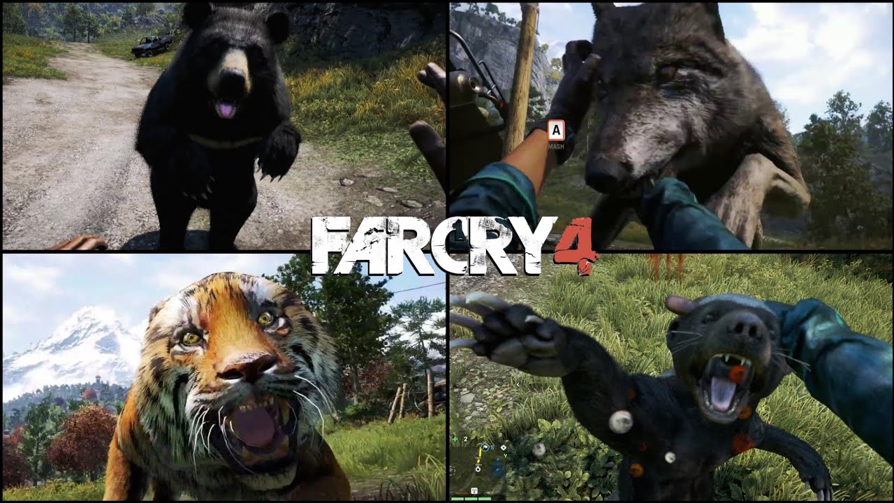 All Animal Attack Animations: Far Cry 4 - YouTube