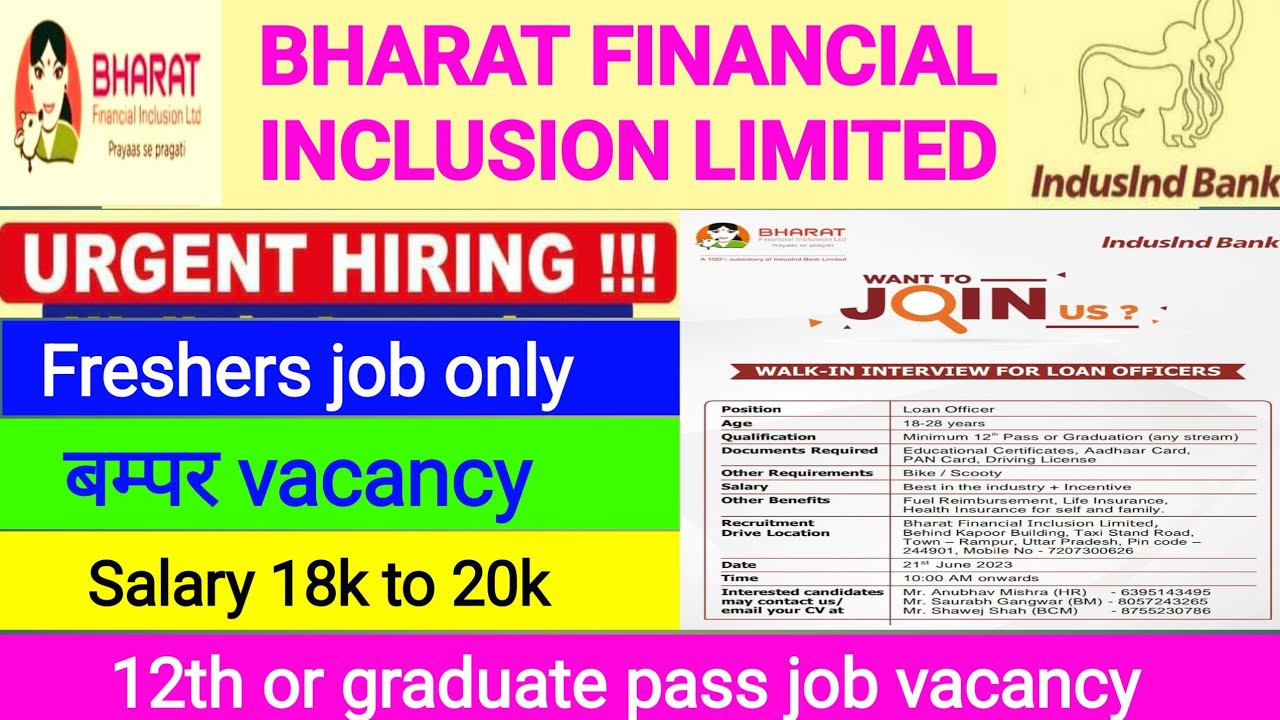 Bharat financial inclusion limited || Urgent Requirements for 12th pass ...