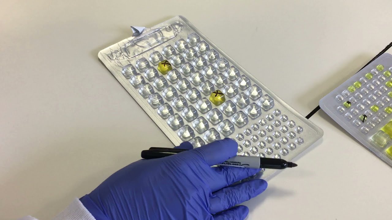 Cork County Council Water Quality Laboratory Water Testing Process ...