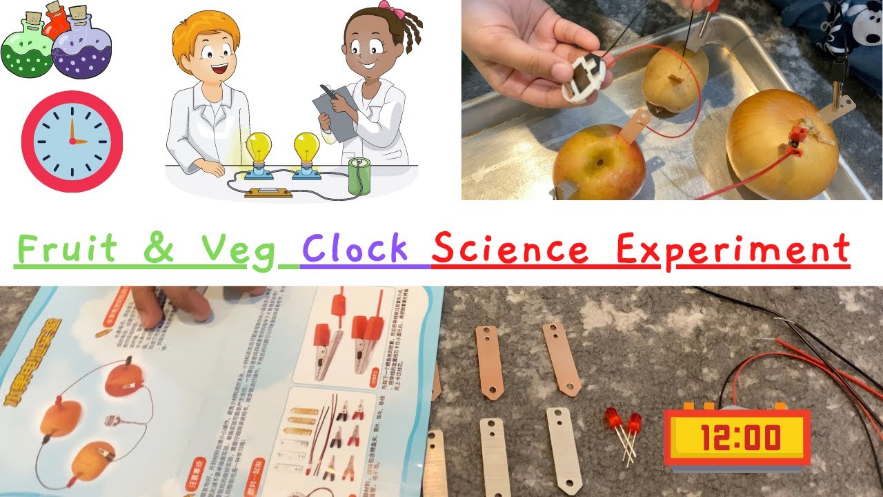 Science - Fruit and Vegetable Clock Experiment | Education Videos for ...