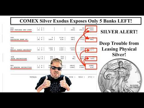 SILBER-ALARM! COMEX-Silberabzug: Nur noch 5 Banken übrig! Große Probleme beim Silberleasing! (Bix...