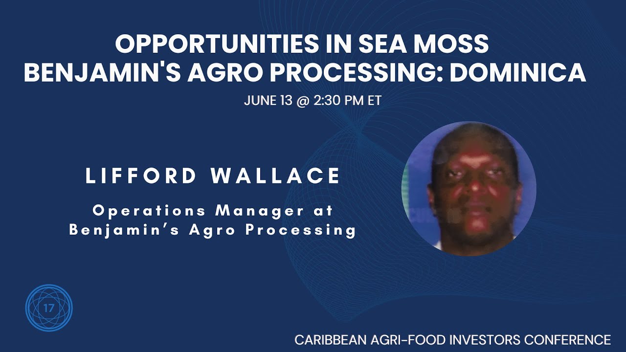 Opportunity: Sea Moss - Benjamin's Agro Processing: Dominica - YouTube